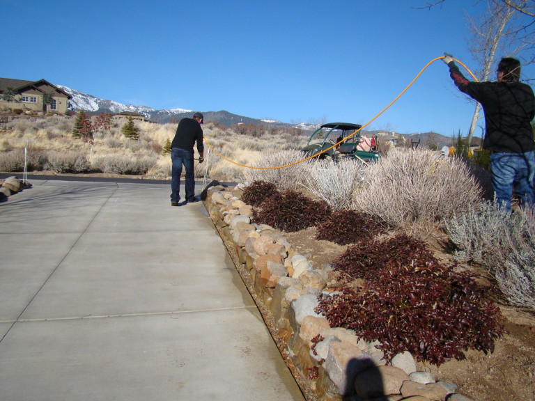 Weed Control - Progressive Pest Management