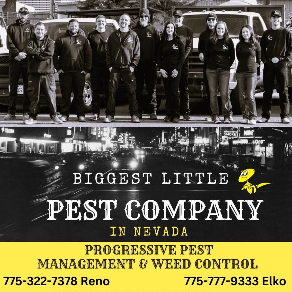 Meet the Team - Progressive Pest Management