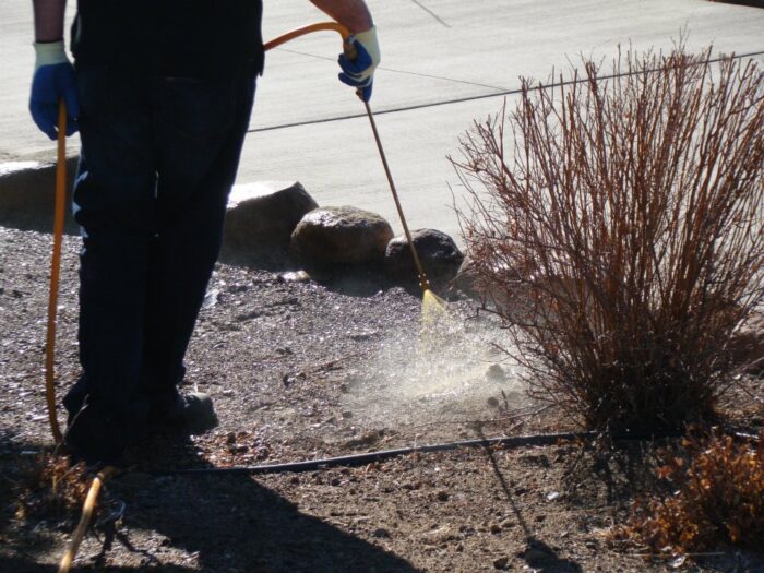 WEED CONTROL SEASON IS HERE ! - Progressive Pest Management